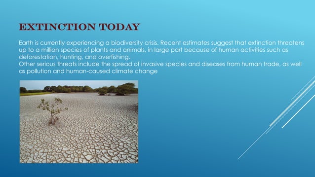 MASS EXTINCTION, the role in evolution, and the types of mass extinction | PPT