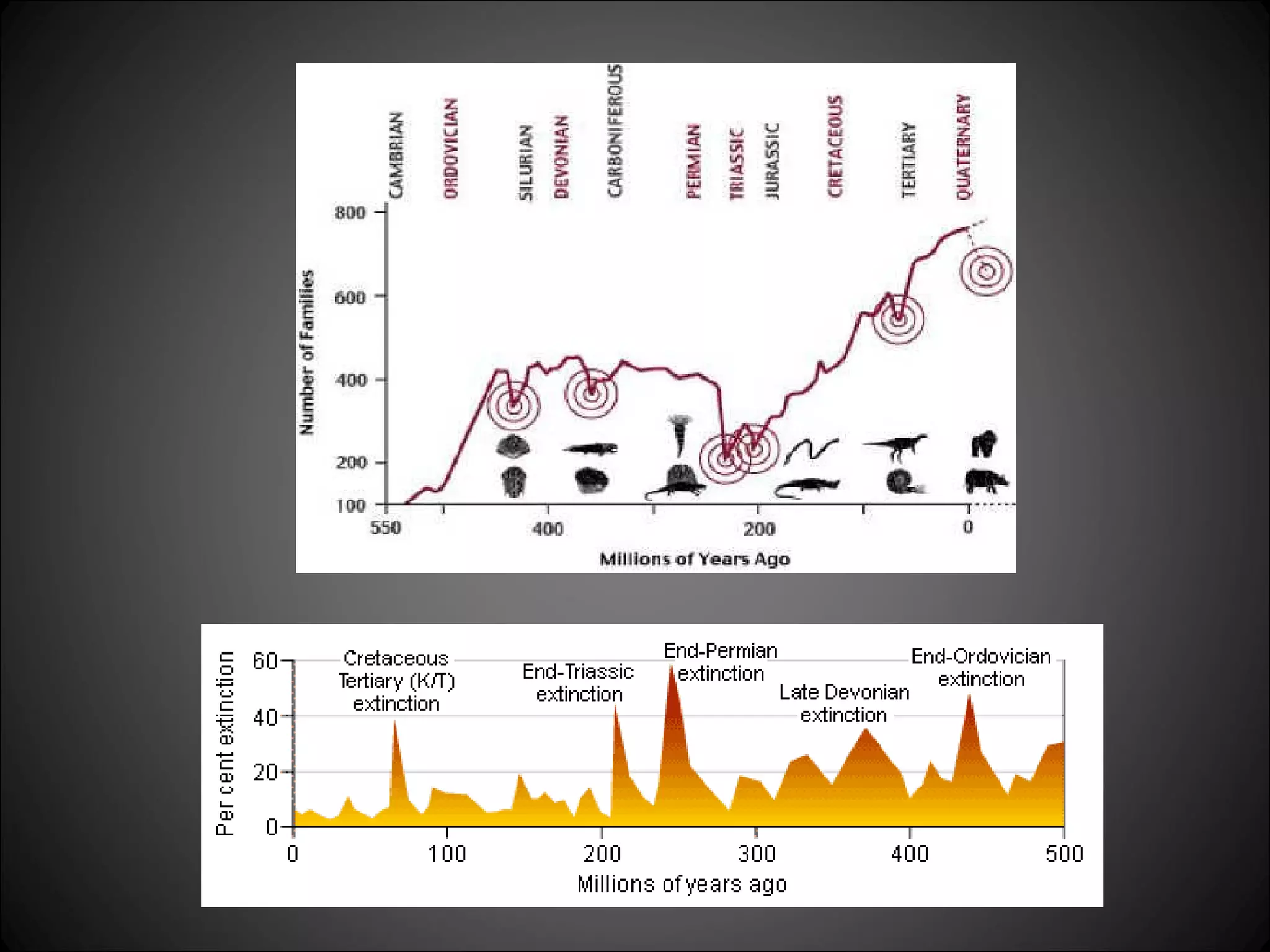 Mass extinction notes | PPT