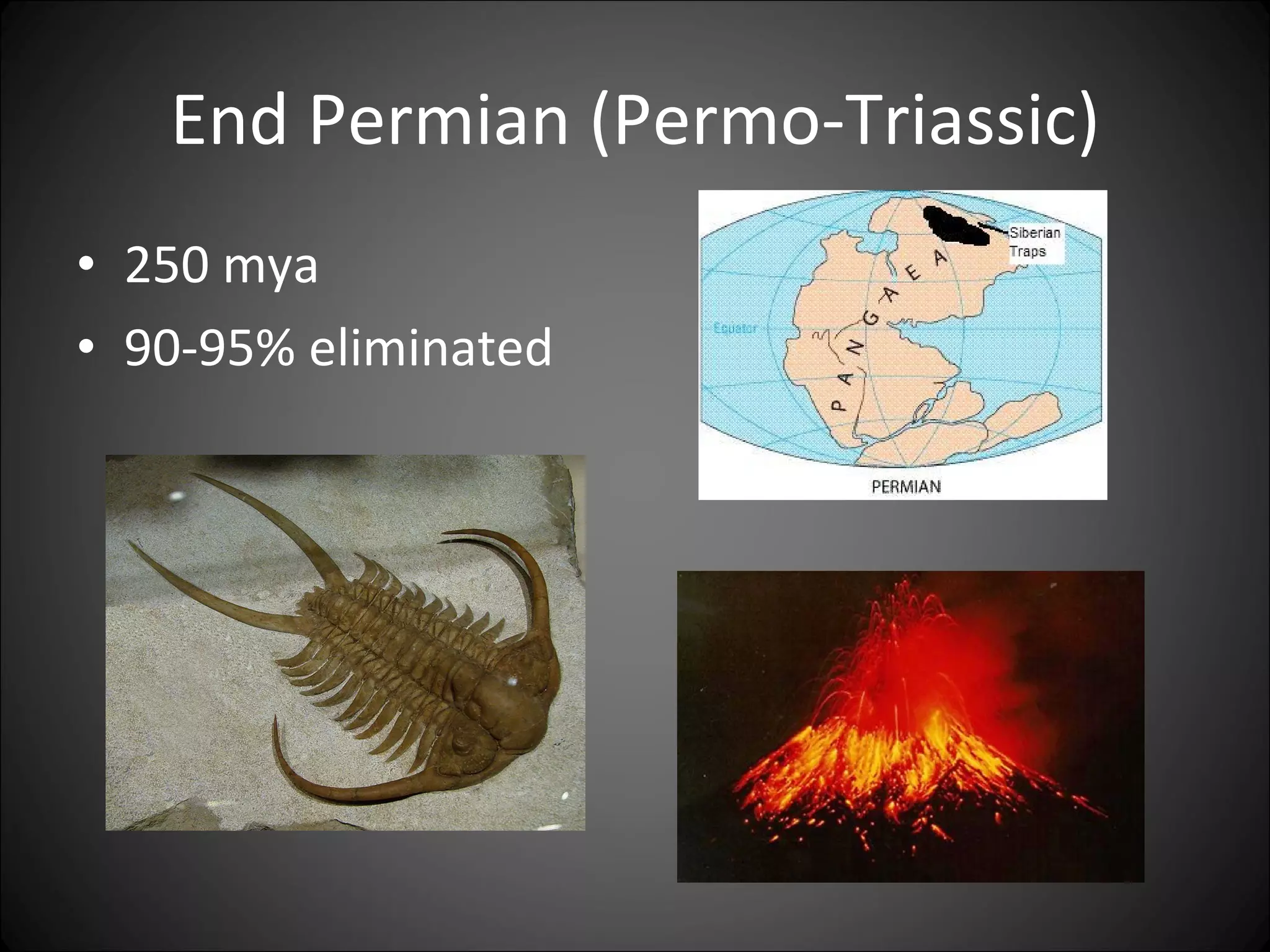 Mass extinction notes | PPT