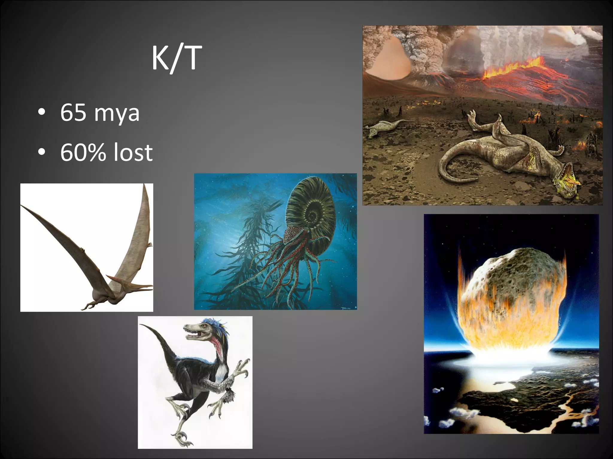 Mass extinction notes | PPT