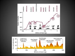 Mass extinction notes | PPT
