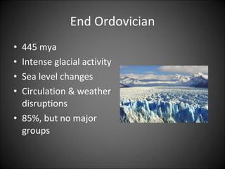 Mass extinction notes | PPT