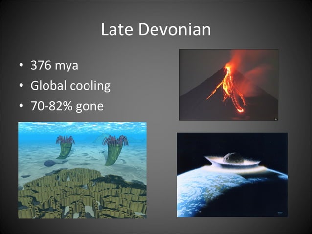 Mass extinction notes | PPT