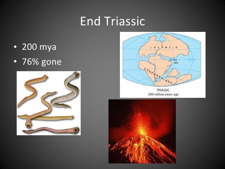 Mass extinction notes