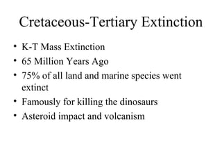 Mass Extinctions | PPT