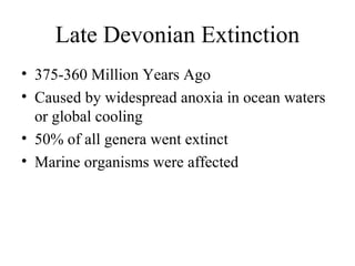 Mass Extinctions | PPT