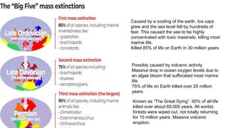 Mass Extinctions and Human Activity.pptx