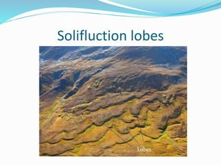 Solifluction Geology