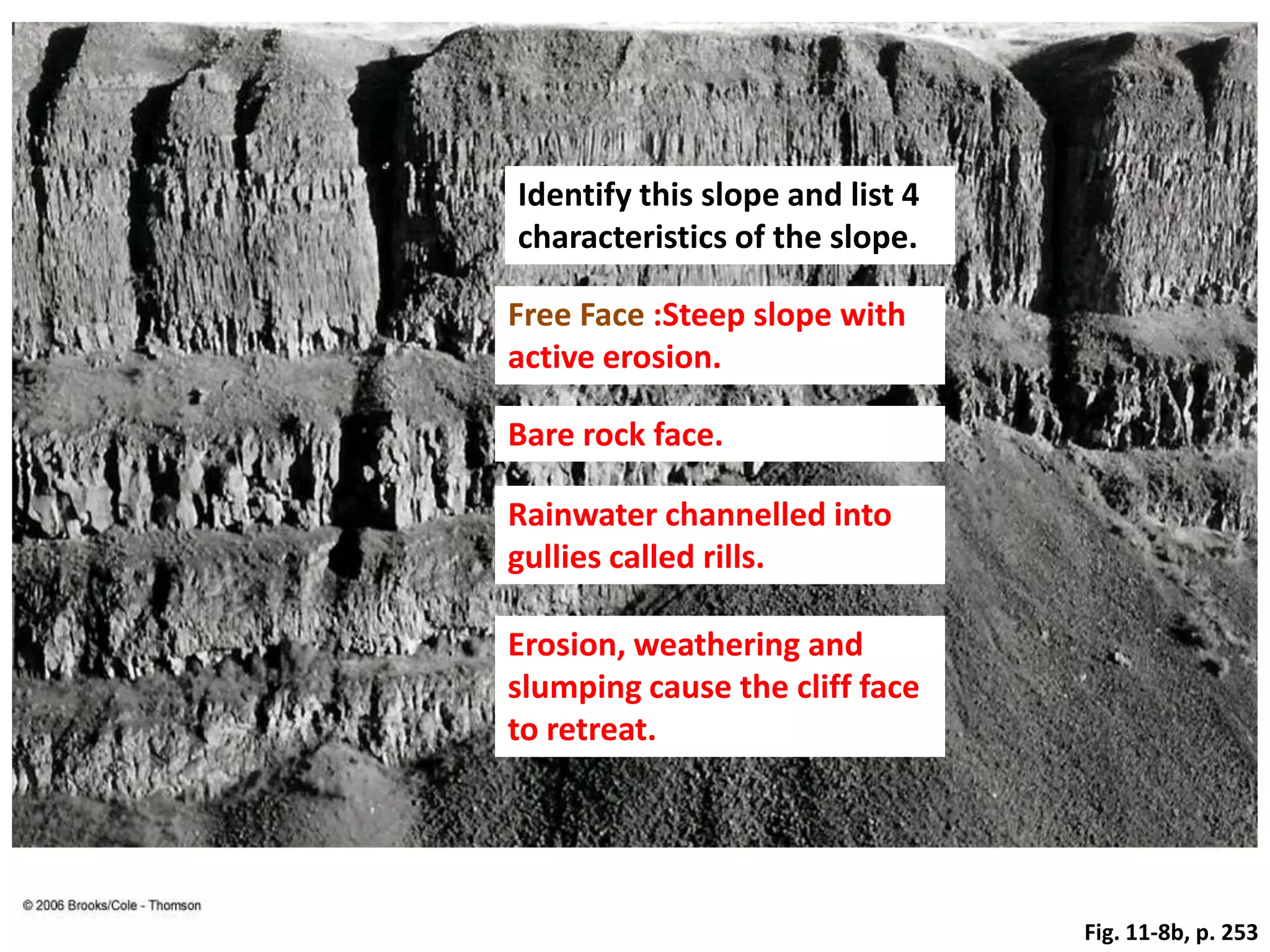 Mass Movement | PPTX