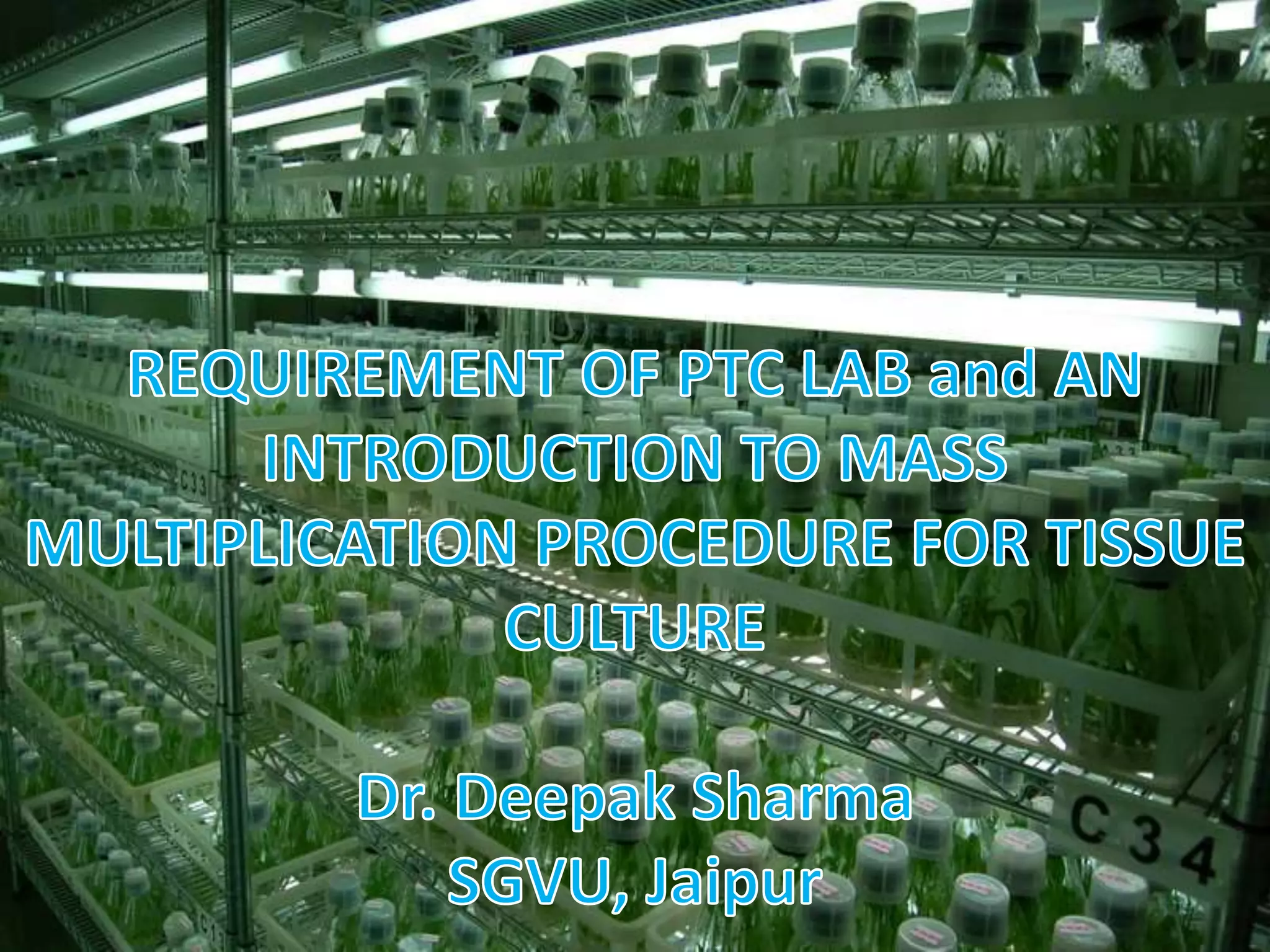 Mass multiplication procedure for tissue culture and PTC requirement | PPTX