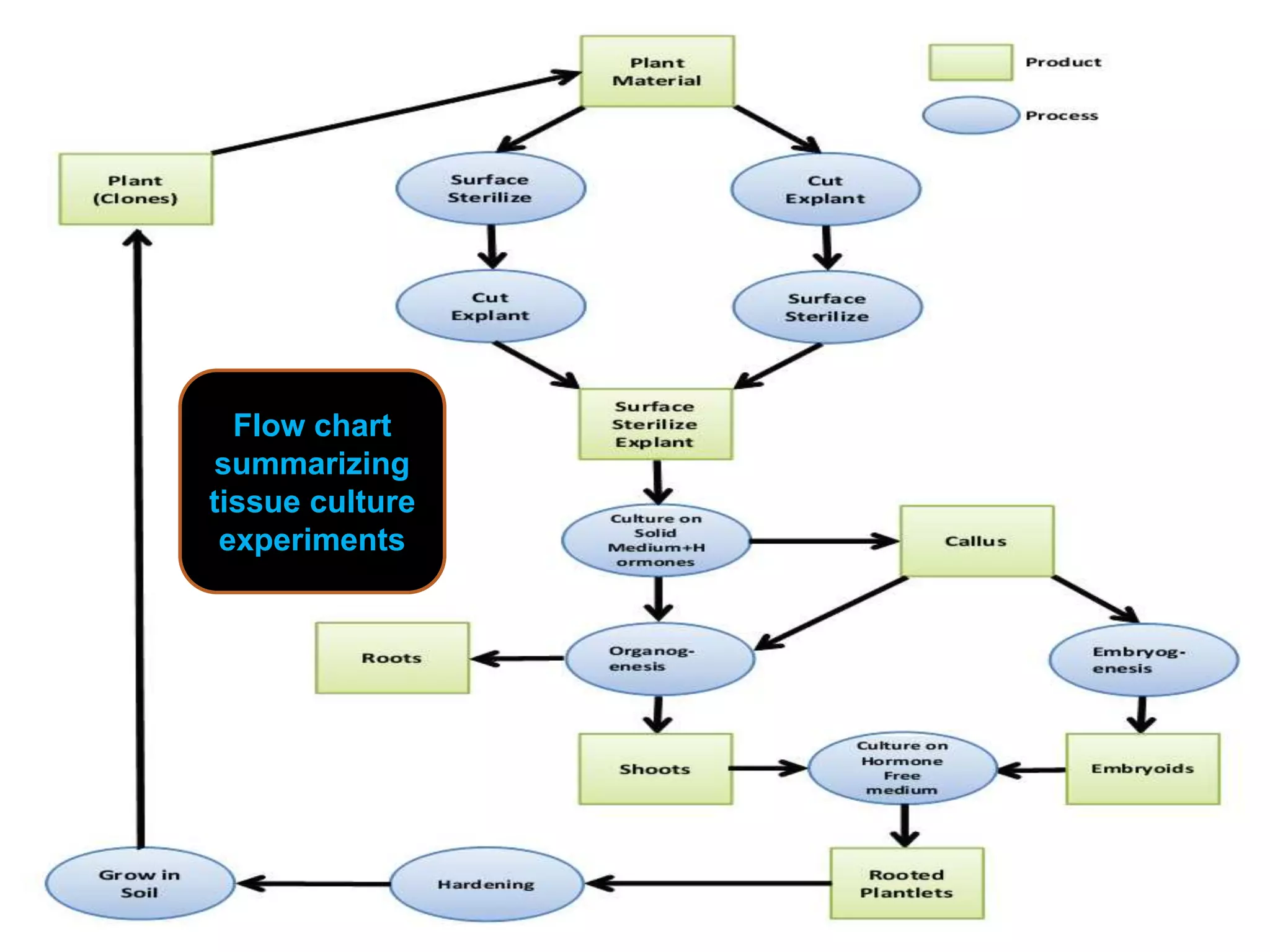 Mass multiplication procedure for tissue culture and PTC requirement | PPTX