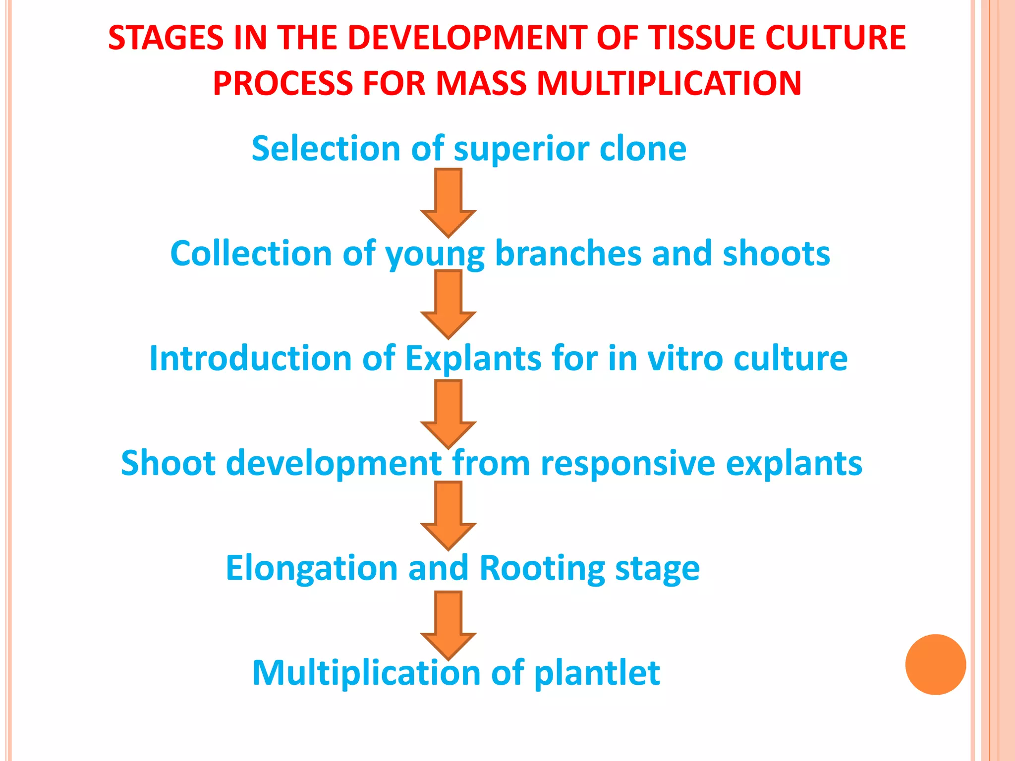 Mass multiplication procedure for tissue culture and PTC requirement | PPTX