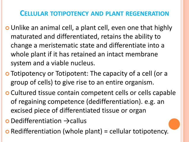 Mass multiplication procedure for tissue culture and PTC requirement ...