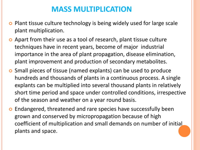 Mass multiplication procedure for tissue culture and PTC requirement ...