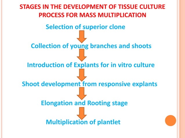Mass multiplication procedure for tissue culture and PTC requirement ...