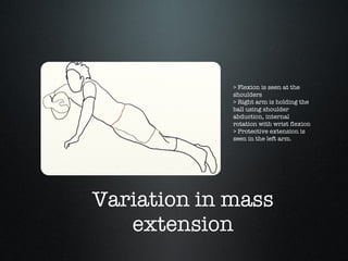 Mass pattern of extension | PPT