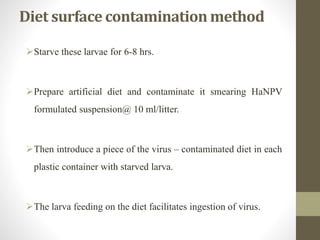 Mass producation HaNPV & EPN | PPTX