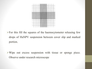 Mass producation HaNPV & EPN | PPTX