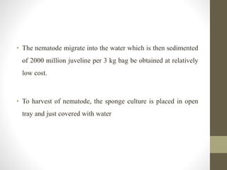 Mass producation HaNPV & EPN | PPTX
