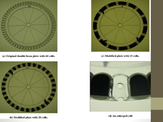 Mass producation HaNPV & EPN | PPTX