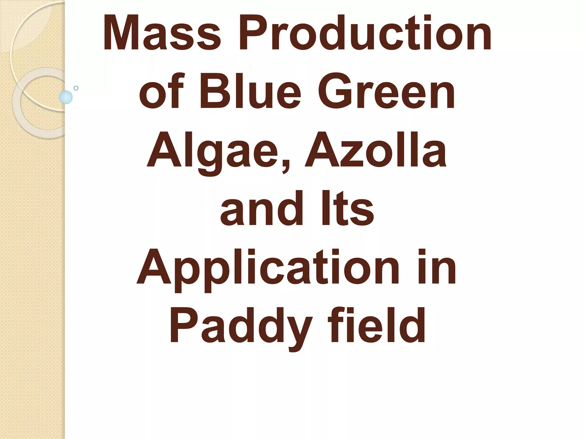Mass Production of Blue Green Algae, Azolla and Its Application in ...