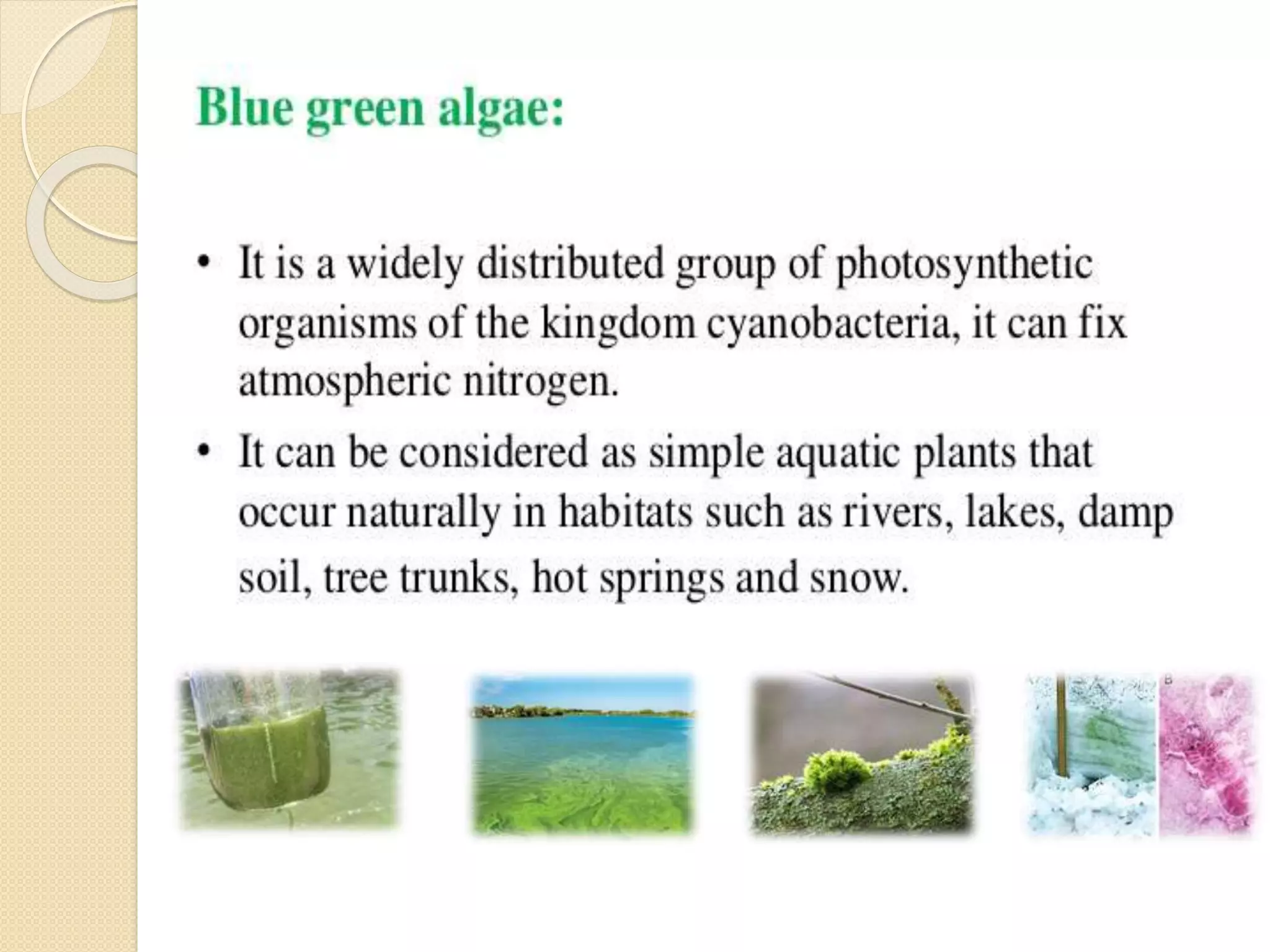 Mass Production of Blue Green Algae, Azolla and Its Application in ...