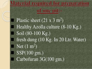 Mass Production of Blue Green Algae, Azolla and Its Application in ...