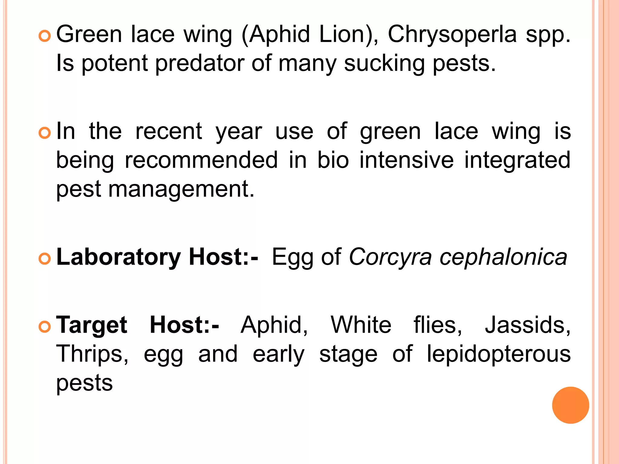 Mass producation of cryptolaemas and green lace wing | PPTX