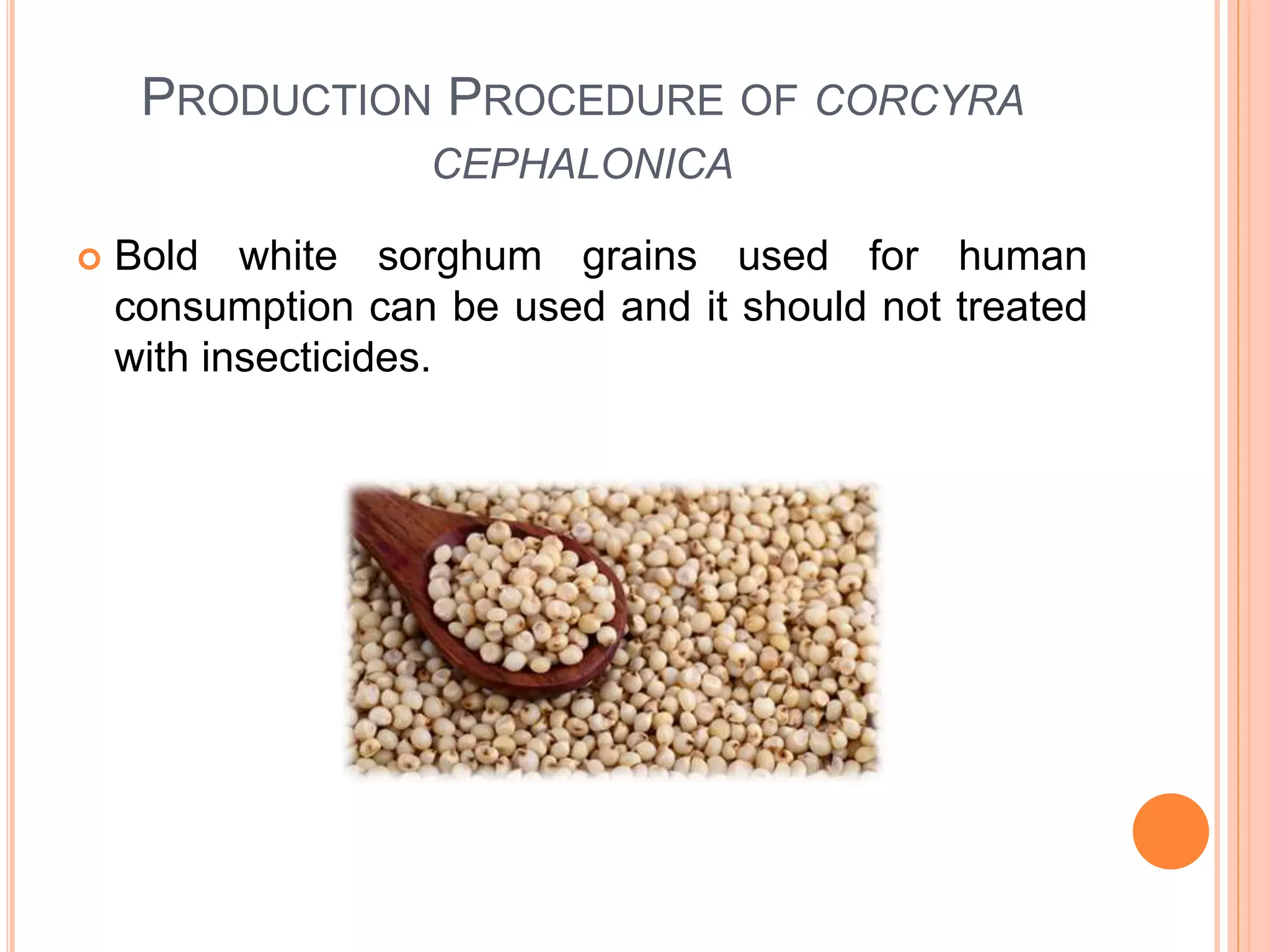 Mass producation of trichogrmma | PPTX