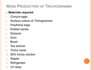 Mass producation of trichogrmma | PPTX