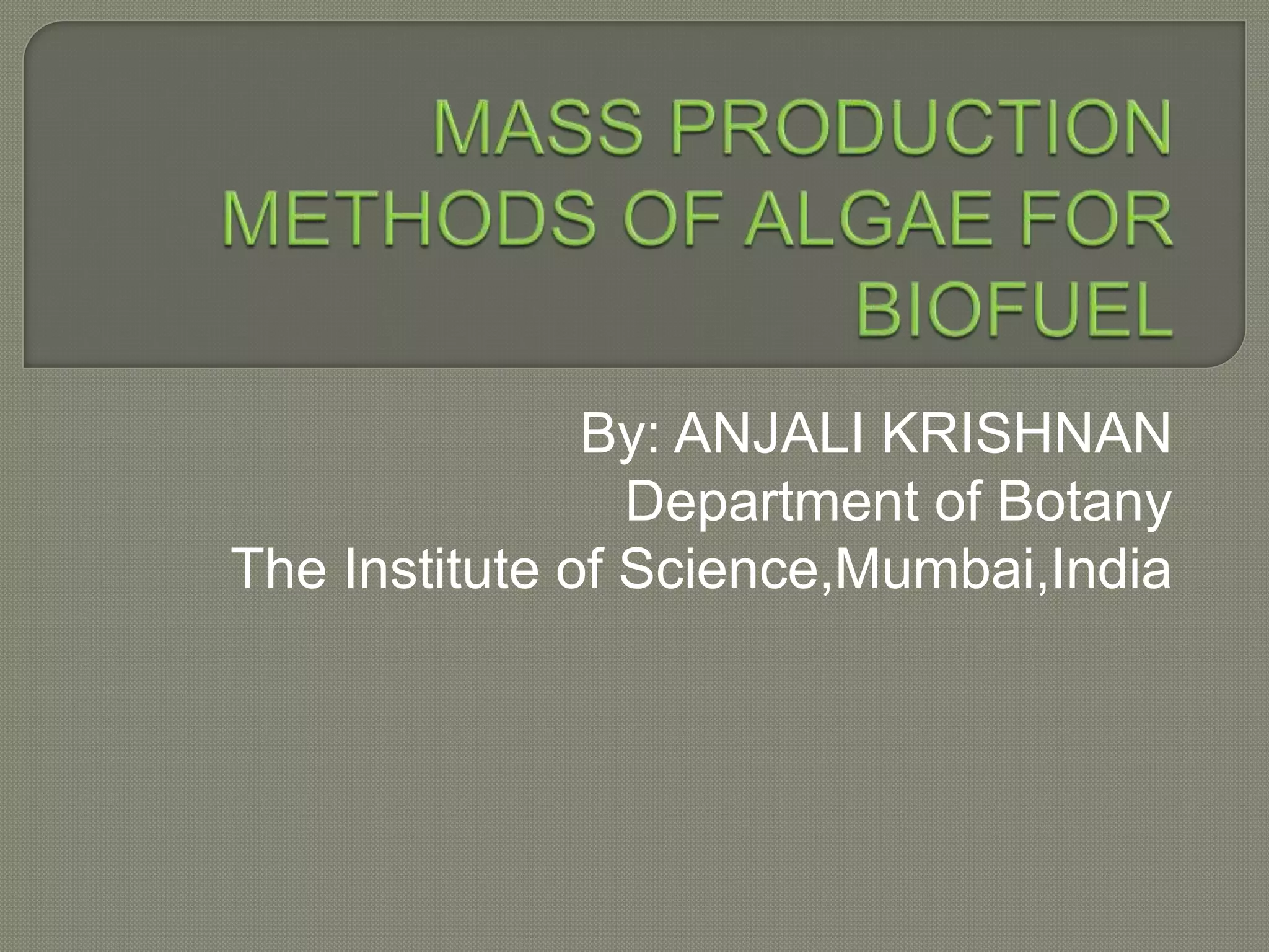 Mass production methods of algae for biofuel | PPTX