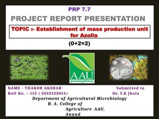 Azolla mass production unit (AKSHAR).pptx