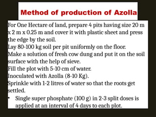 Azolla mass production unit (AKSHAR).pptx