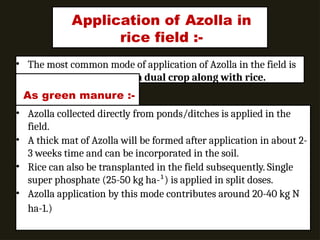 Azolla mass production unit (AKSHAR).pptx