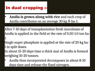 Azolla mass production unit (AKSHAR).pptx