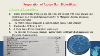Mass Production Of Azospirillum And Cyanobacteria | PPTX