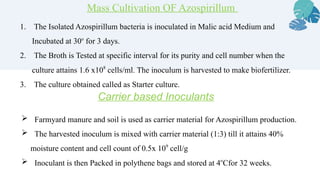 Mass Production Of Azospirillum And Cyanobacteria | PPTX