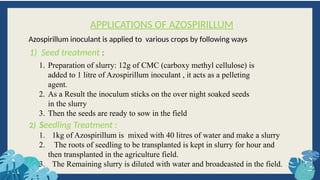 Mass Production Of Azospirillum And Cyanobacteria | PPTX