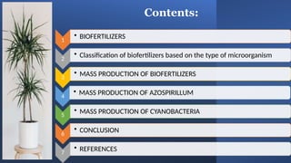 Mass Production Of Azospirillum And Cyanobacteria | PPTX
