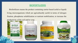 Mass Production Of Azospirillum And Cyanobacteria | PPTX