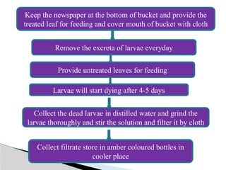 MASS PRODUCTION OF BIOPESTICIDE AND THEIR FORMULATION.pptx