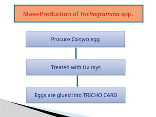 MASS PRODUCTION OF BIOPESTICIDE AND THEIR FORMULATION.pptx