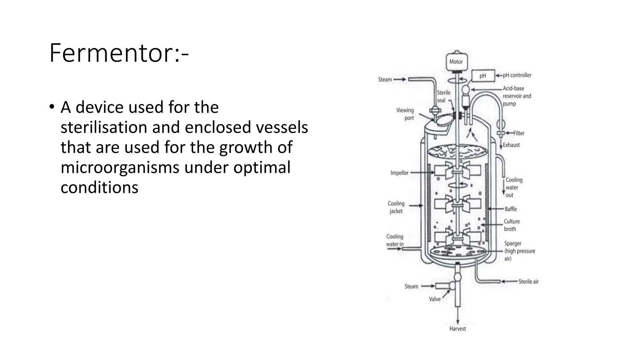 Mass Production of Fungus and Bacteria and their Quality Control.pptx