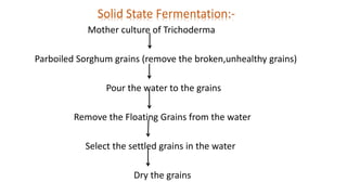 Mass Production of Fungus and Bacteria and their Quality Control.pptx