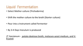 Mass Production of Fungus and Bacteria and their Quality Control.pptx