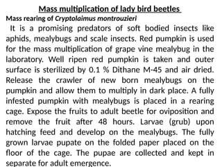 Mass Production of Predators & Parasitoids.pptx