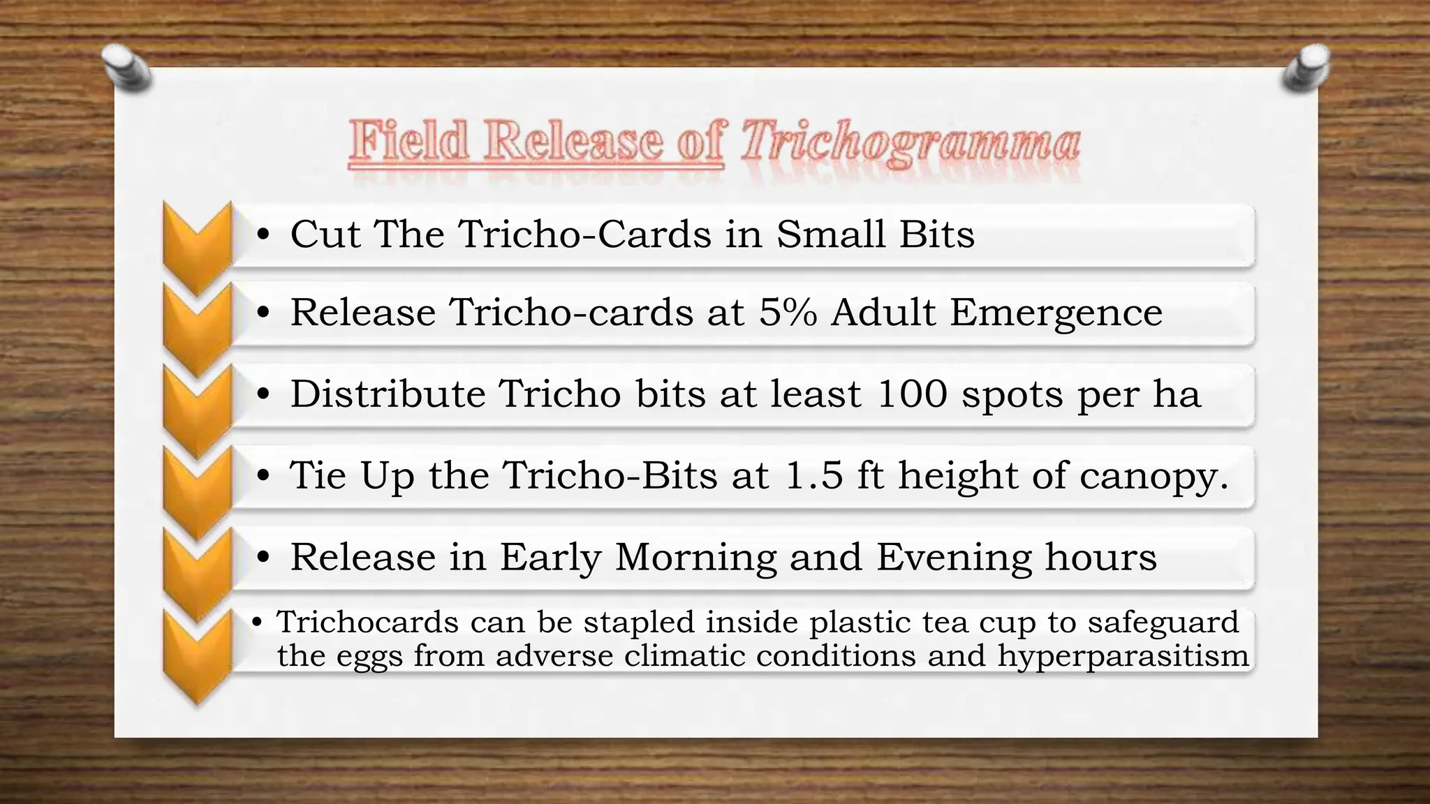 Mass Production of Trichogramma sp..pptx