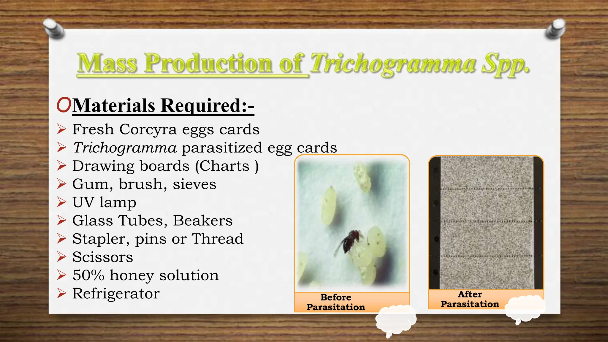 Mass Production of Trichogramma sp..pptx