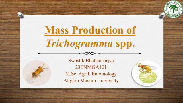 Mass Production of Trichogramma sp..pptx | Agriculture | Industries