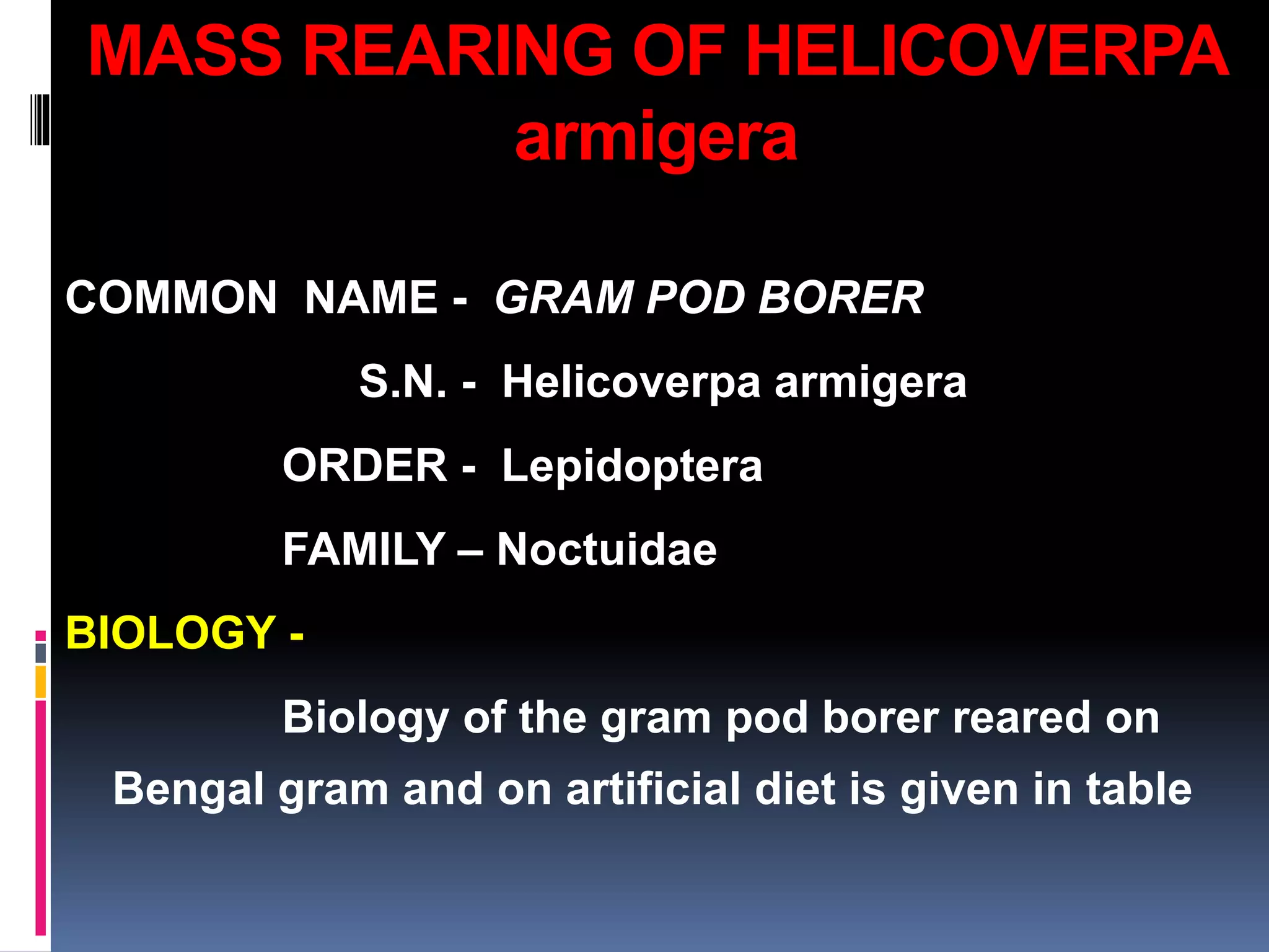 Mass rearing techniques of helicovarpa | PPTX